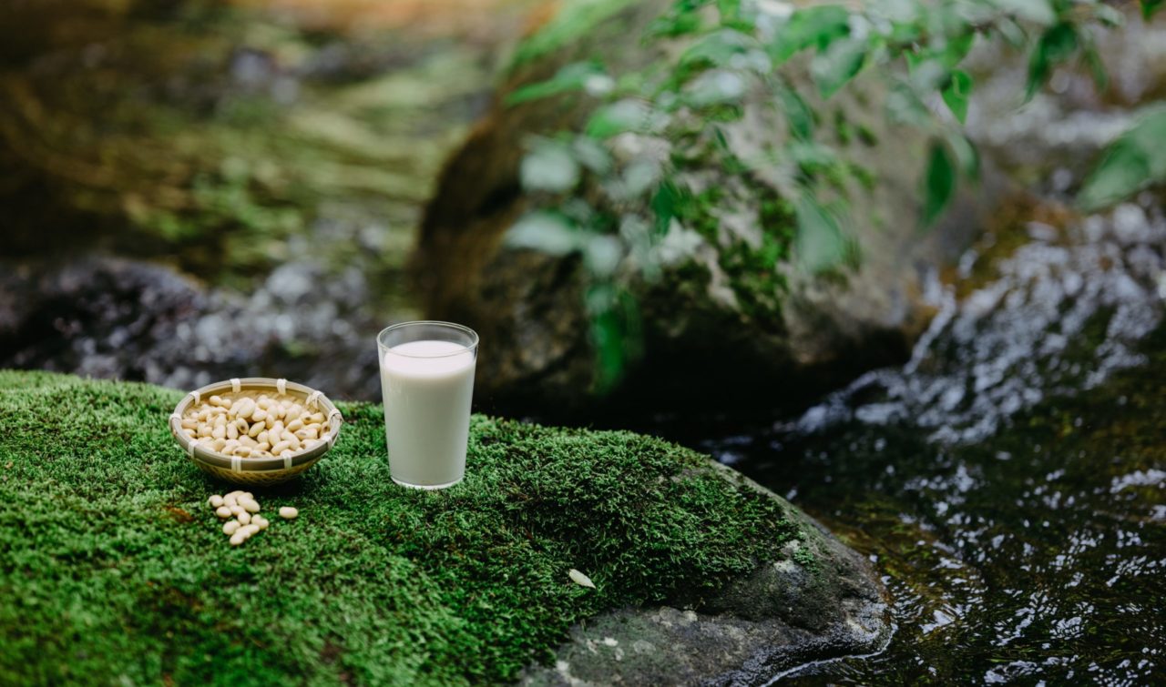 KENT CHAPMAN Inc.｜Let's Spirit